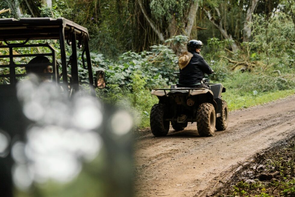 What Happens on a Macao Buggy Tour? Mud, Caves & Beach